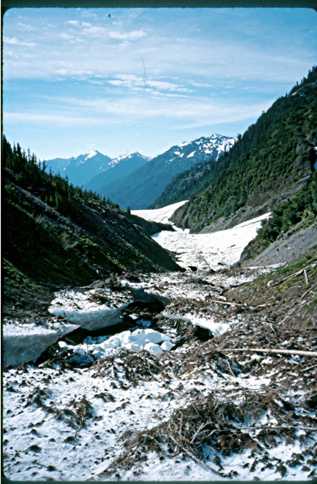 Collapsed snow bridge along Elwha Snow Finger | Welcome to the new ...