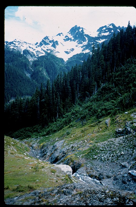 Elwha Basin (1) | Welcome to the new Beach House Site