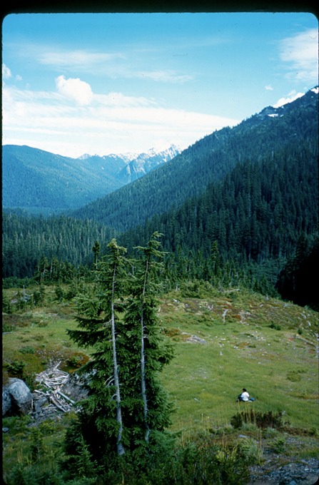 Elwha Basin (2) | Welcome to the new Beach House Site